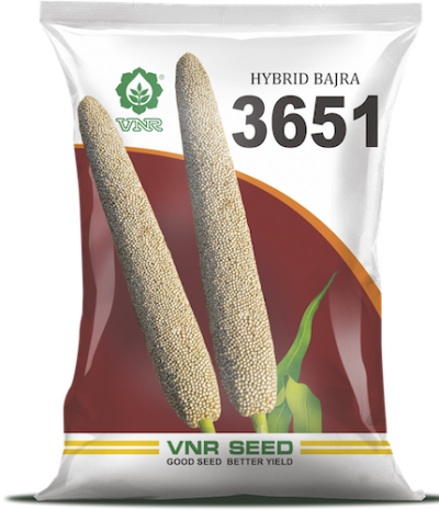 VNR Seed – Good Seed Better Yield